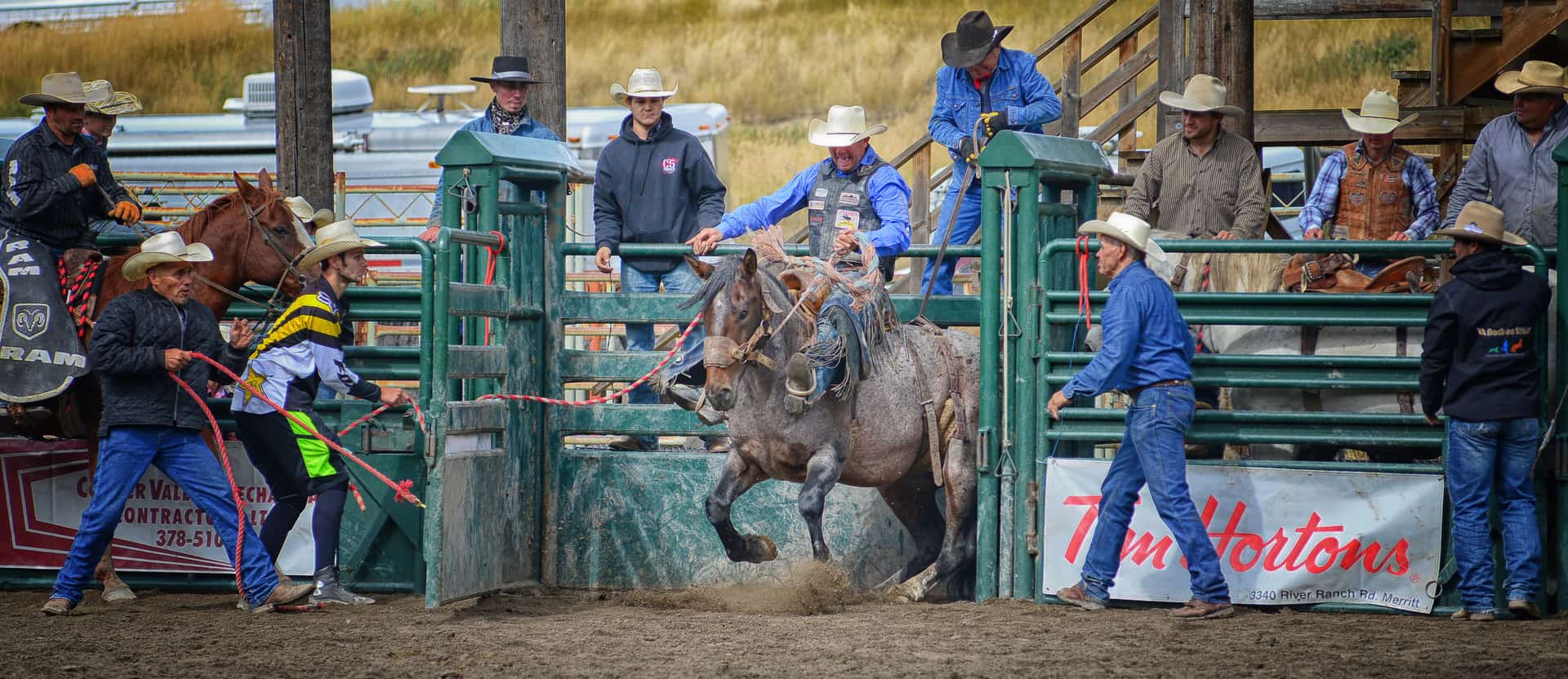 Nicola Valley Pro Rodeo. Celebrating 60 Years. - Experience Nicola ...