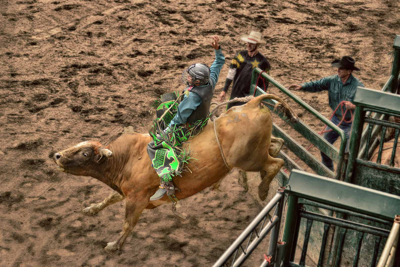 Nicola Valley Pro Rodeo. Celebrating 60 Years. - Experience Nicola ...