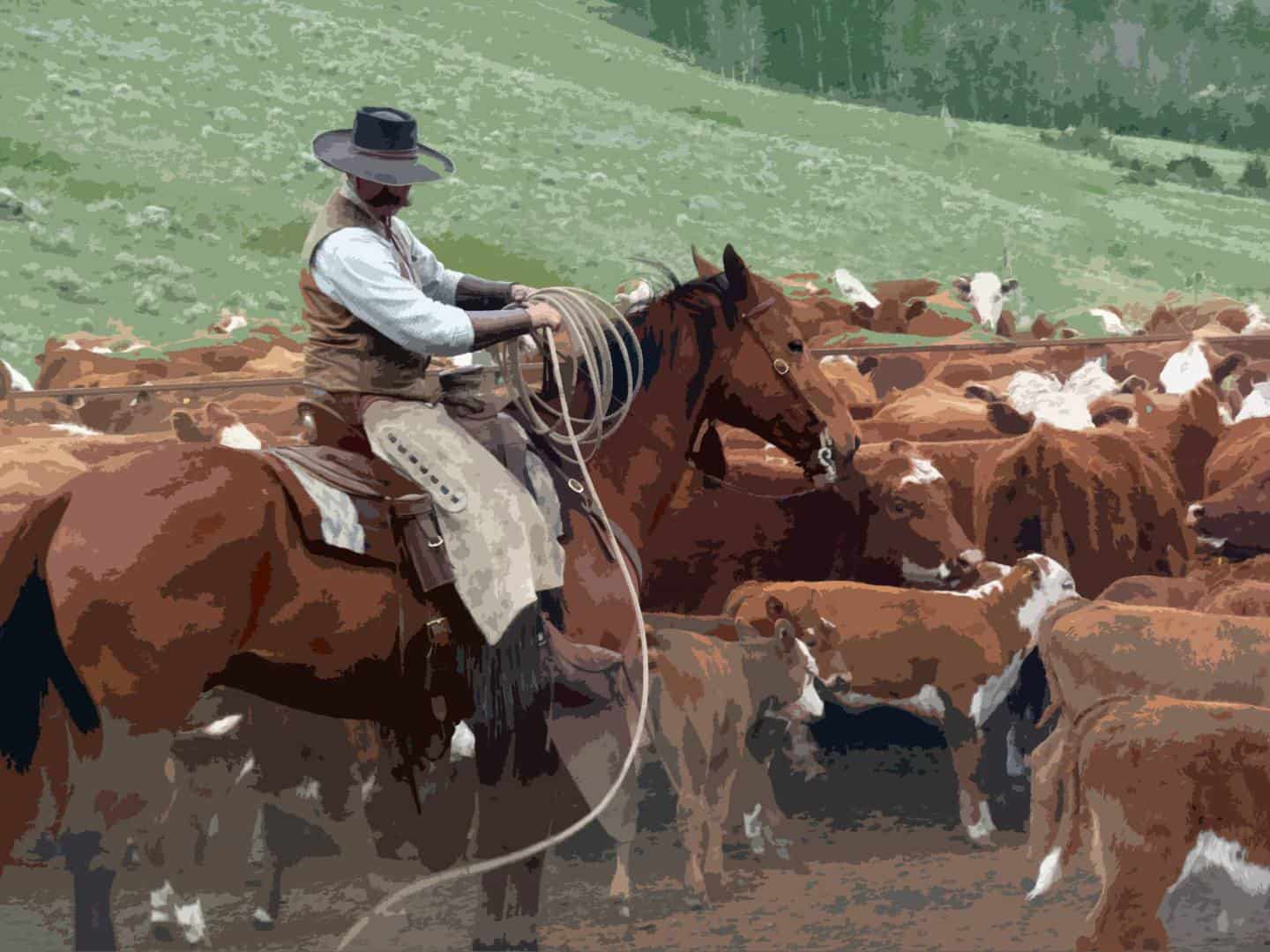 Cowboy and Live in the Nicola Valley - Experience Nicola Valley