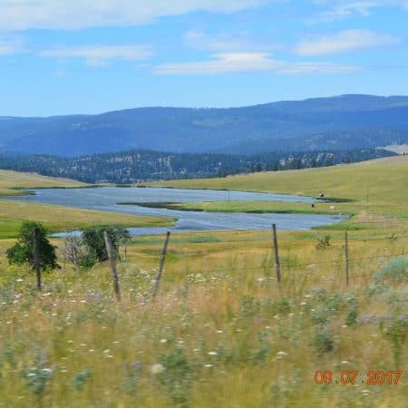 Mason Bees - Merritt BC Canada - Experience Nicola Valley - Merritt, BC ...