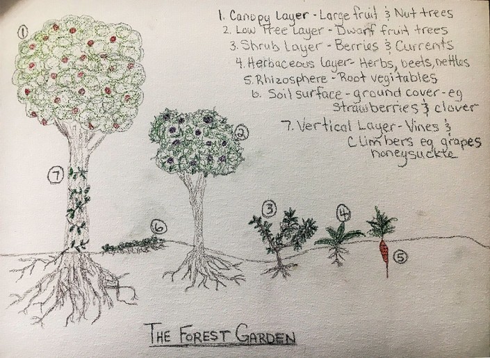 Forest Garden - How to Create One - Experience Nicola Valley - Merritt ...