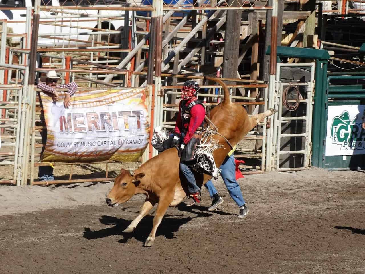Nicola Valley Pro Rodeo and Fall Fair In Merritt BC