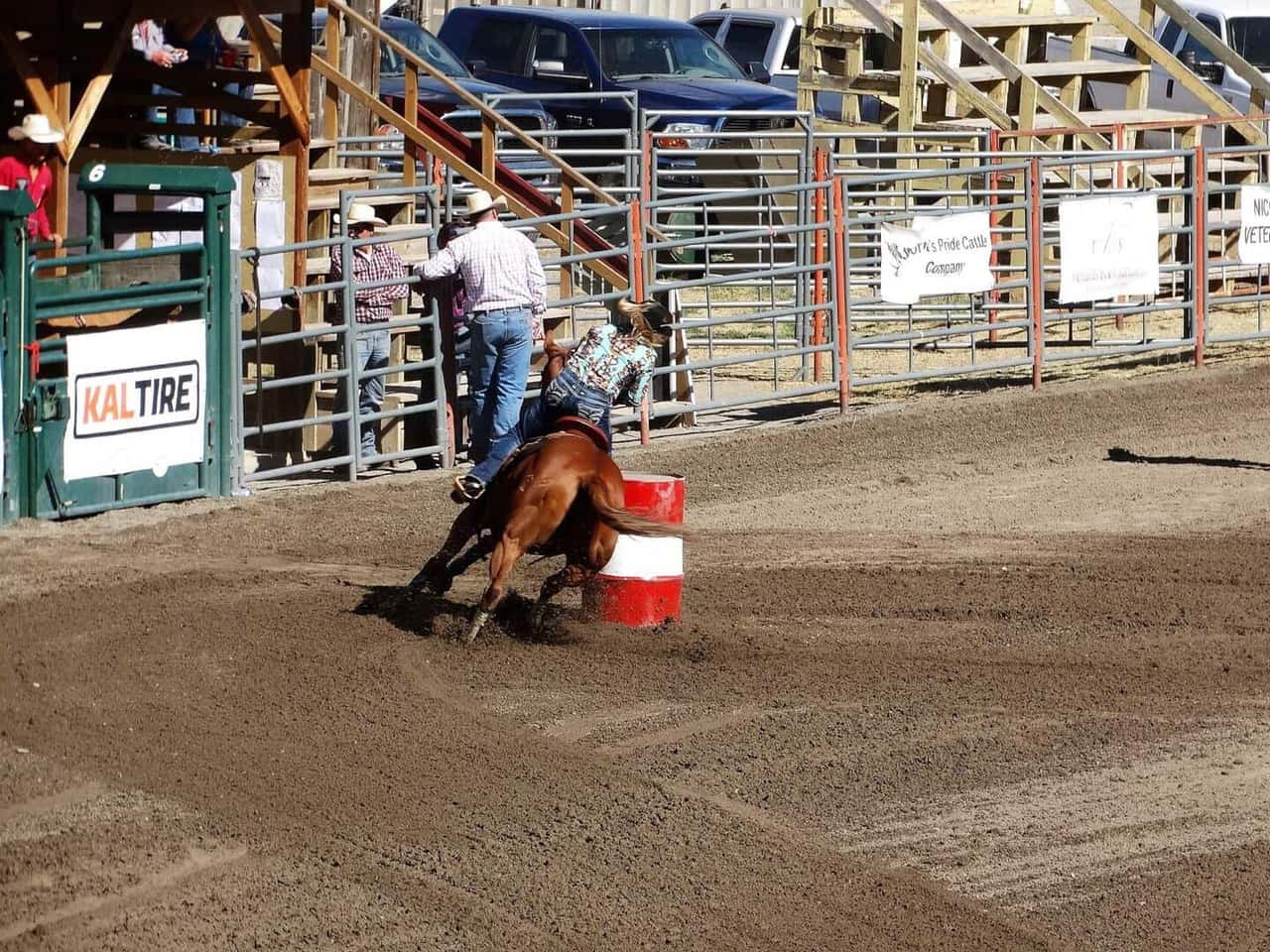 Nicola Valley Pro Rodeo and Fall Fair In Merritt BC