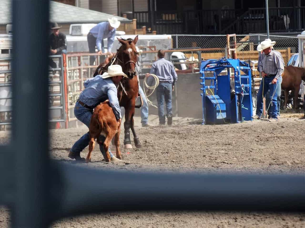 Nicola Valley Pro Rodeo and Fall Fair In Merritt BC