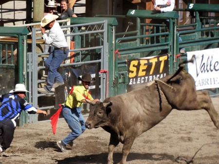 Nicola Valley Pro Rodeo and Fall Fair In Merritt BC
