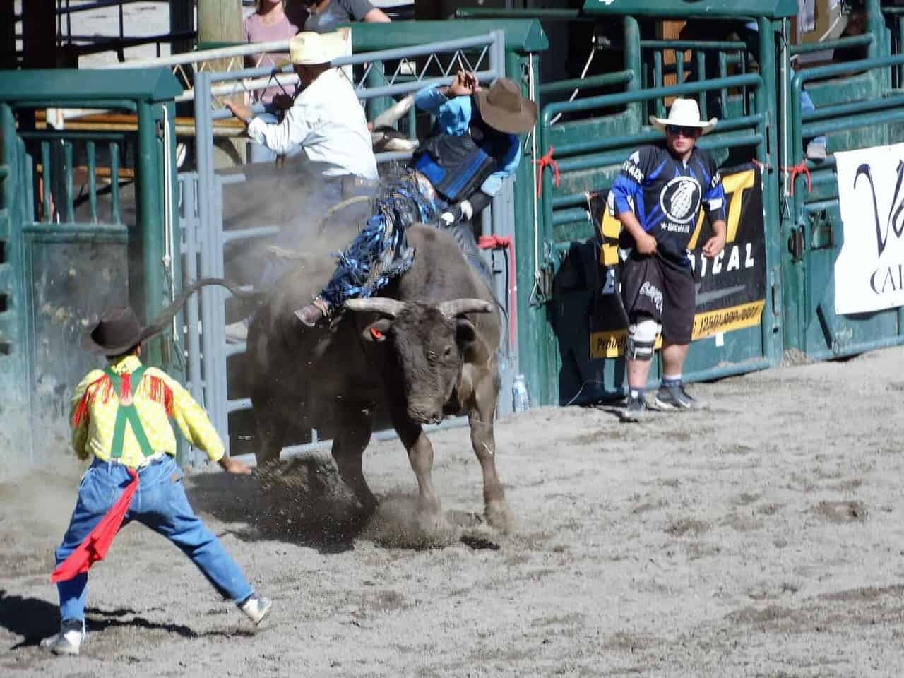 Nicola Valley Pro Rodeo and Fall Fair In Merritt BC