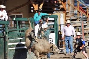 Nicola Valley Pro Rodeo and Fall Fair In Merritt BC
