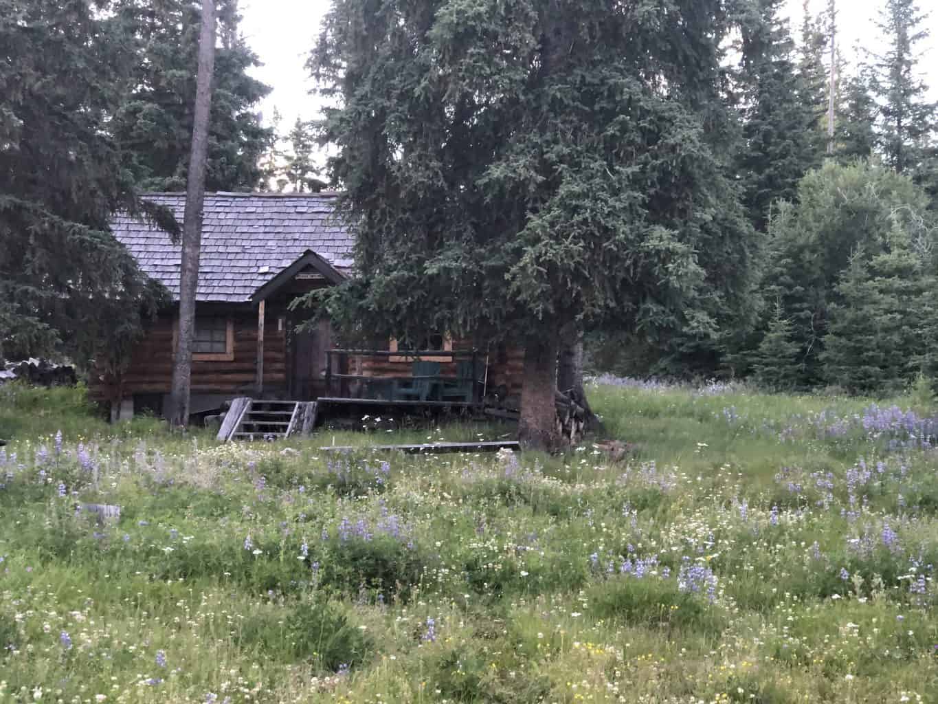 Camping near Merritt BC - Paska Lake - Experience Nicola Valley ...