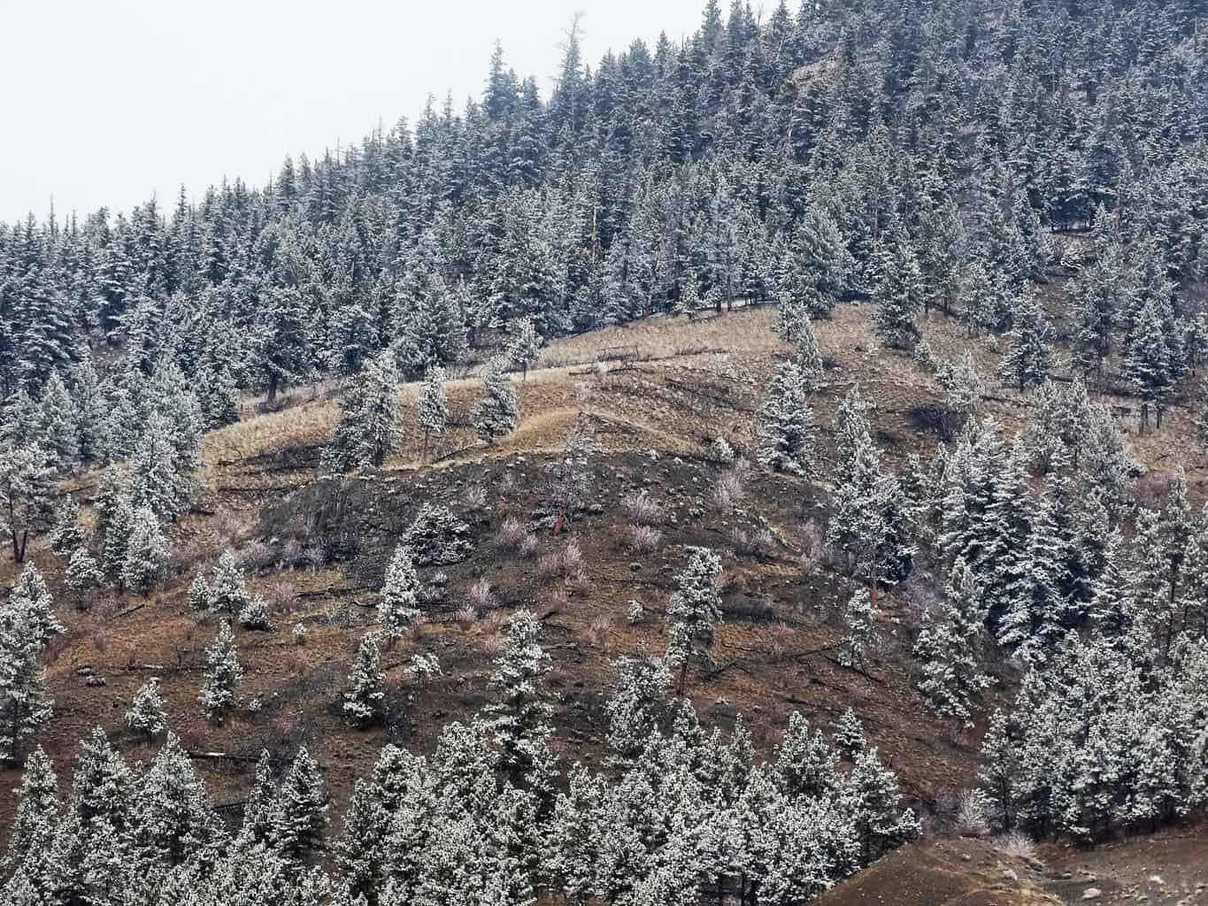 Outdoor Activities Merritt BC - Nicola Valley Fall and Winter Seasons ...